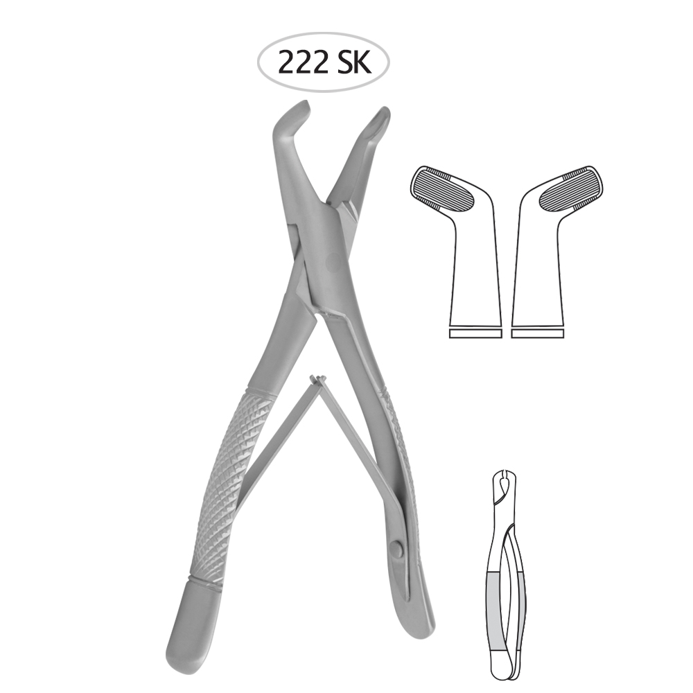 Lower Third Molars – Intentinternational